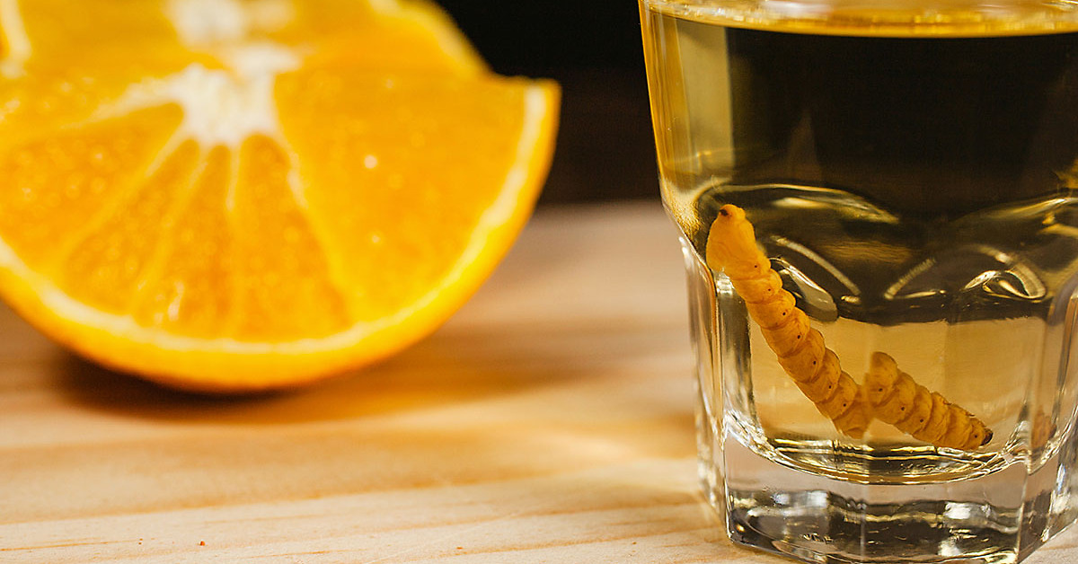 Mezcal Worms – “Chinicuil Gusanos” – Ento Cuisine