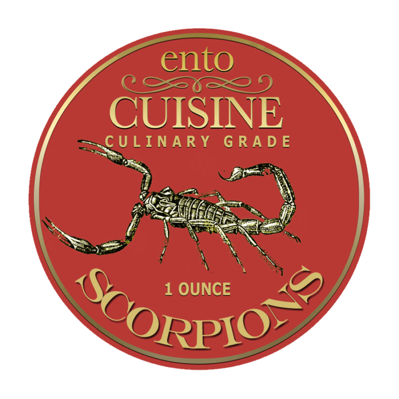 Edible Scorpions – Ento Cuisine